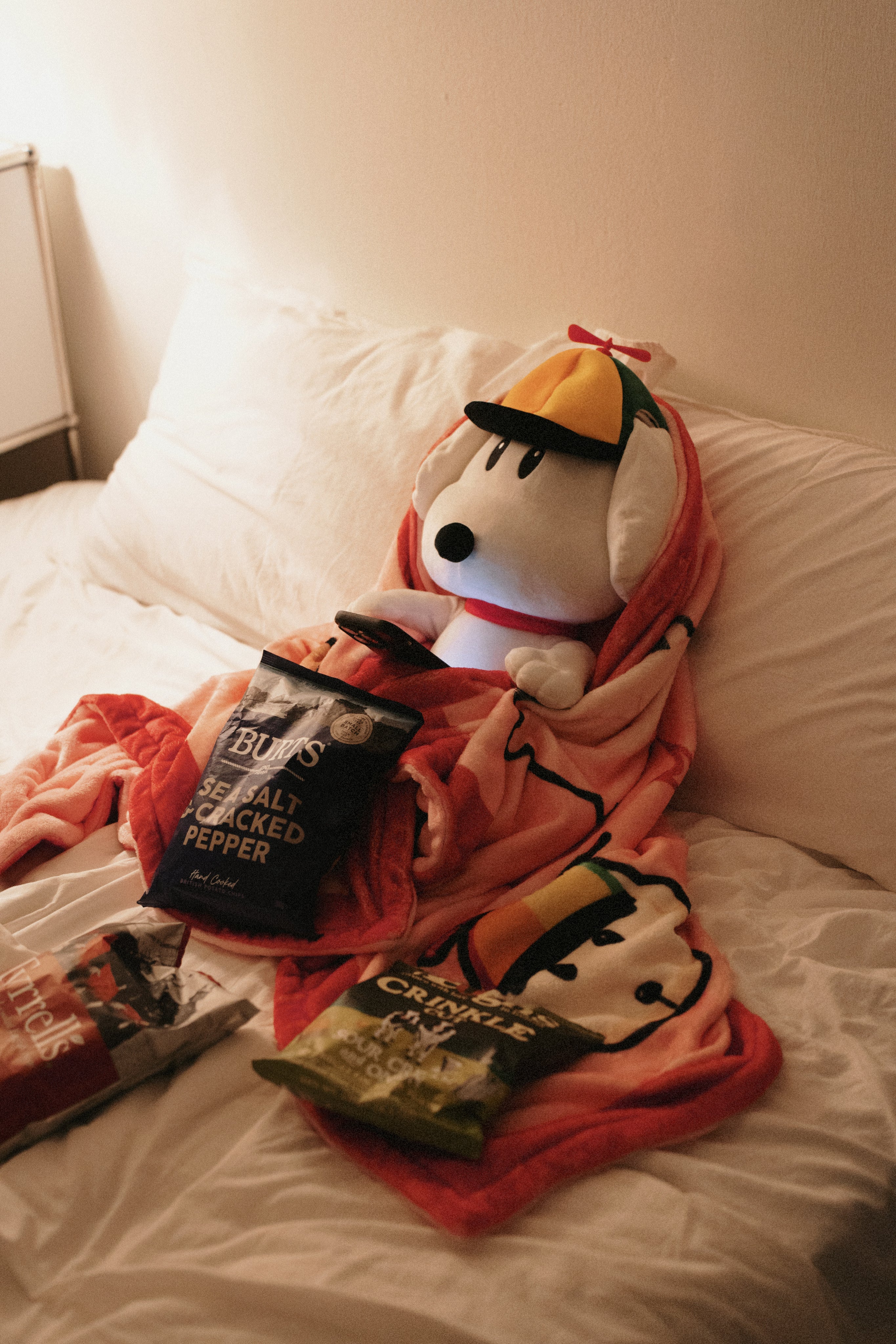 New Arrivals – B.Adore MY